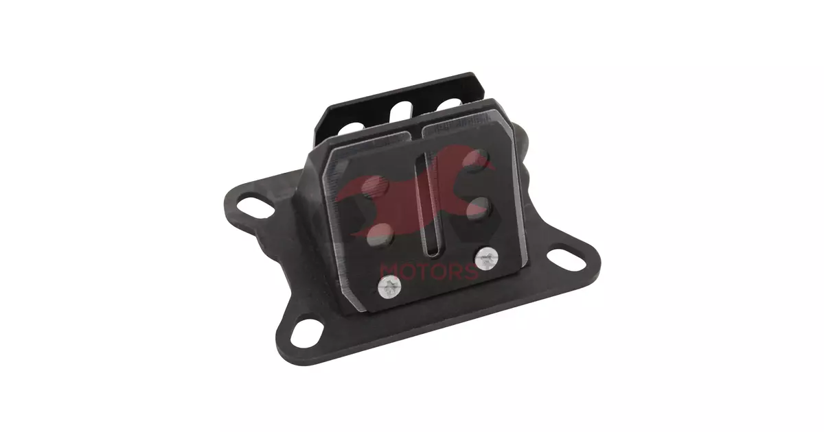 REED VALVE REPLAY RACING MINARELLI AM6 LC / DERBI SENDA LC - Jack ...